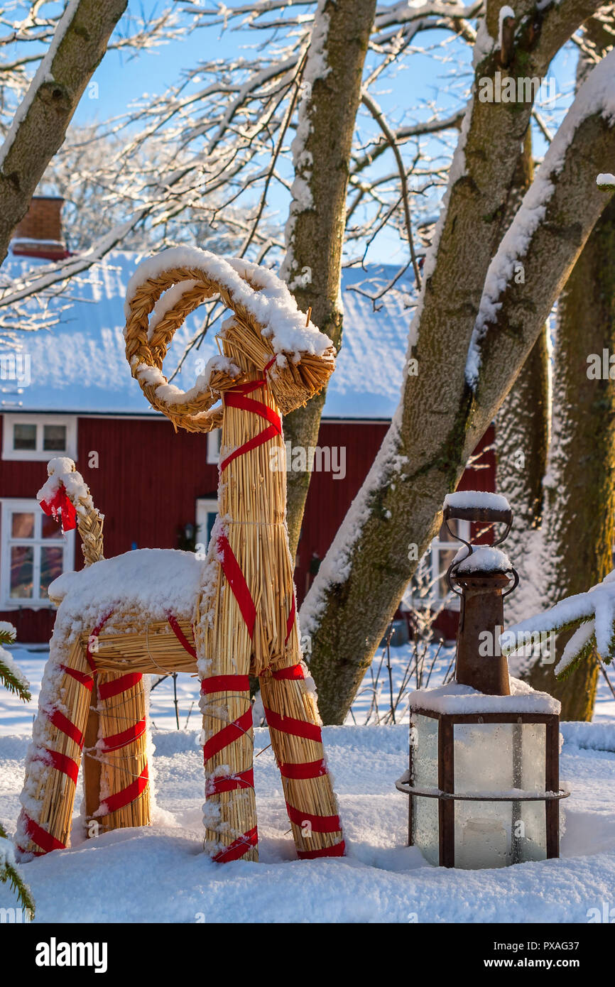 Christmas goat at Christmas with snow Stock Photo - Alamy
