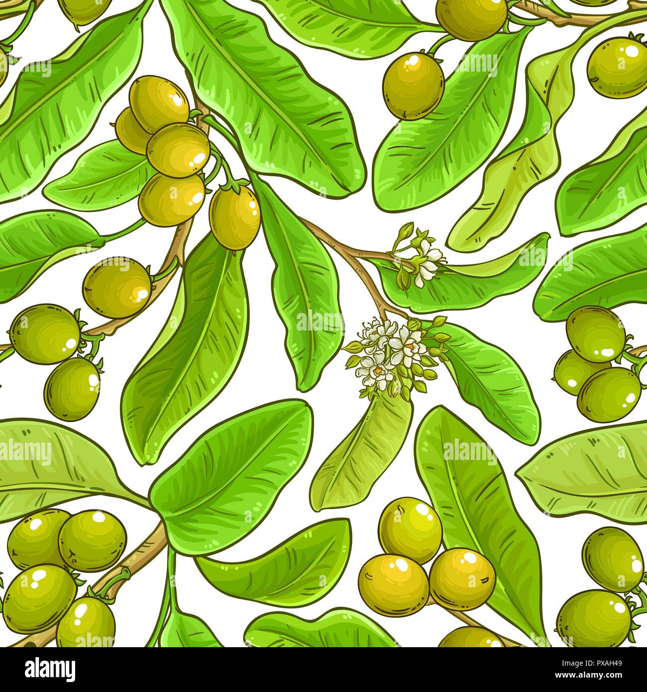 shea vector pattern on white background Stock Vector Image & Art - Alamy