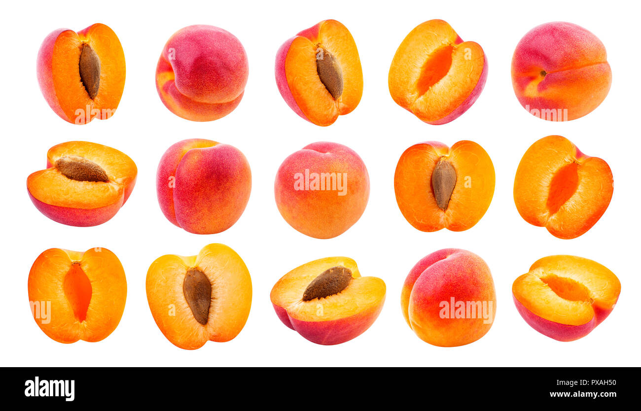 Apricot isolated. Collection of apricots isolated on white background ...