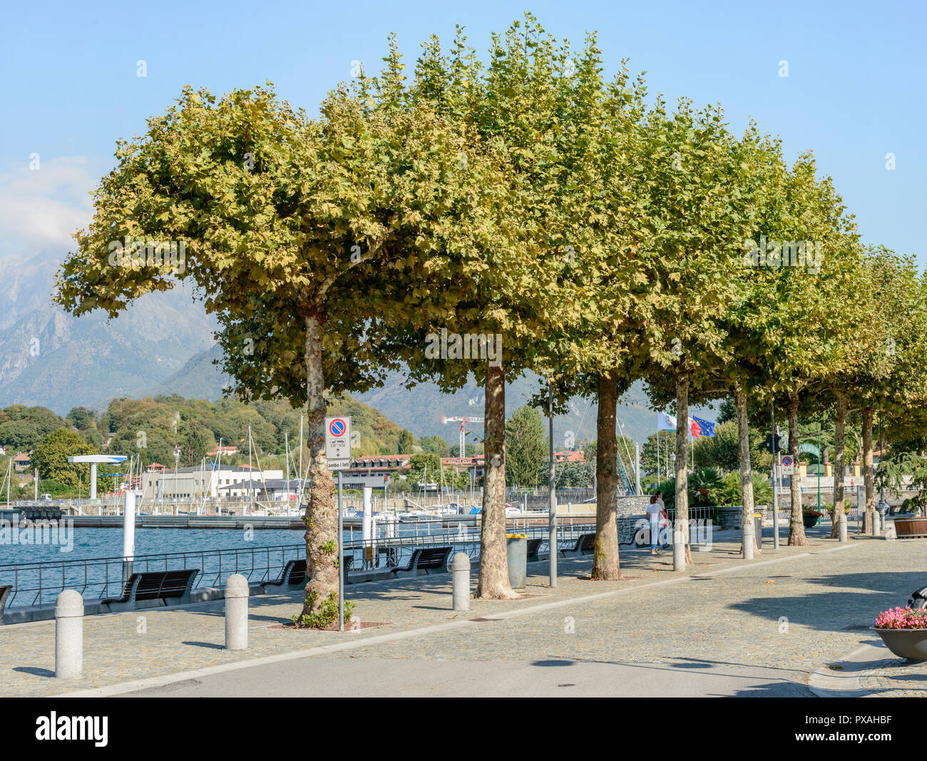 tree lined road on lakeside of Como lake at touristic village, shot in ...