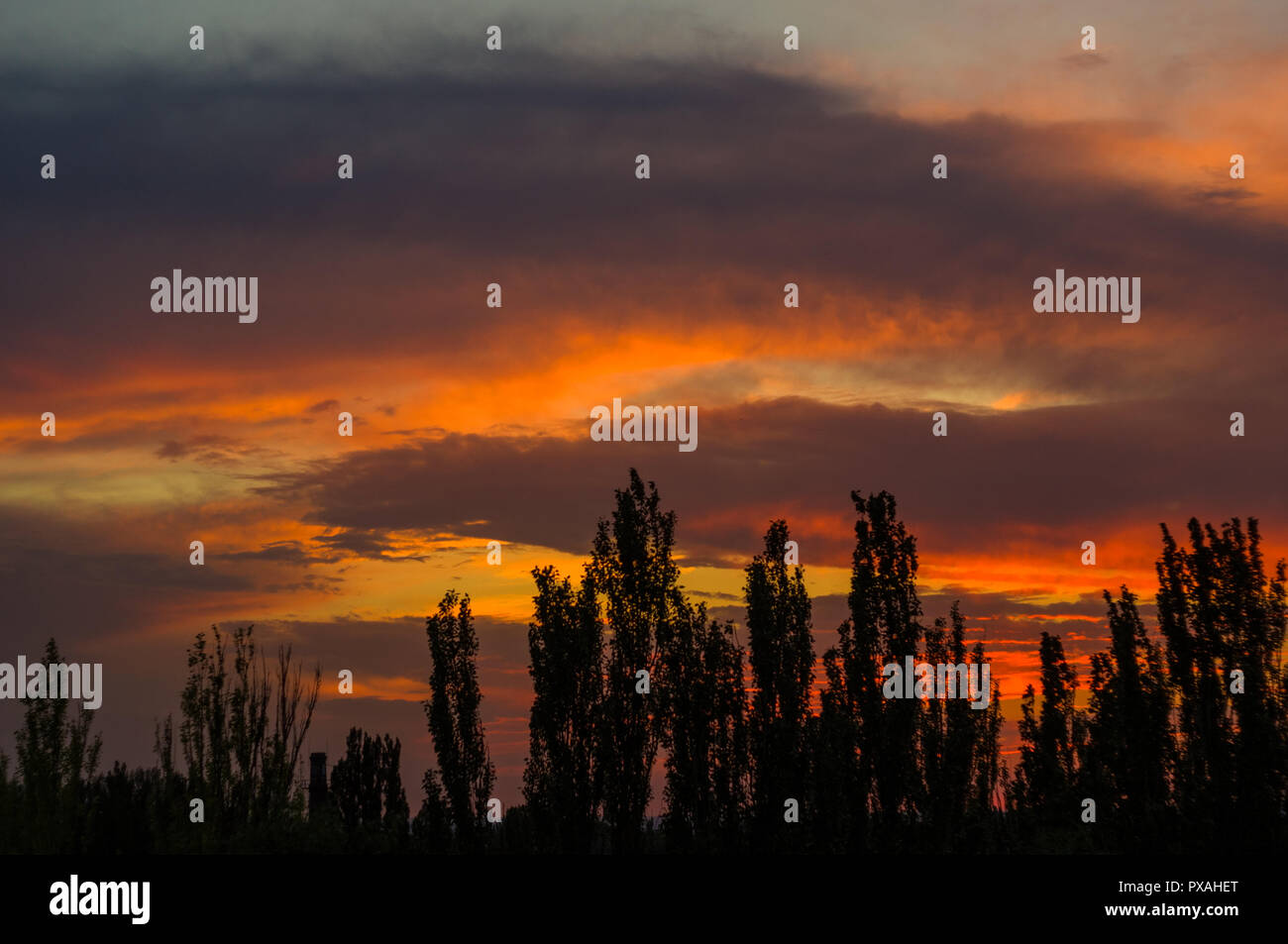 Landscape with dramatic light - beautiful golden sunset with saturated ...