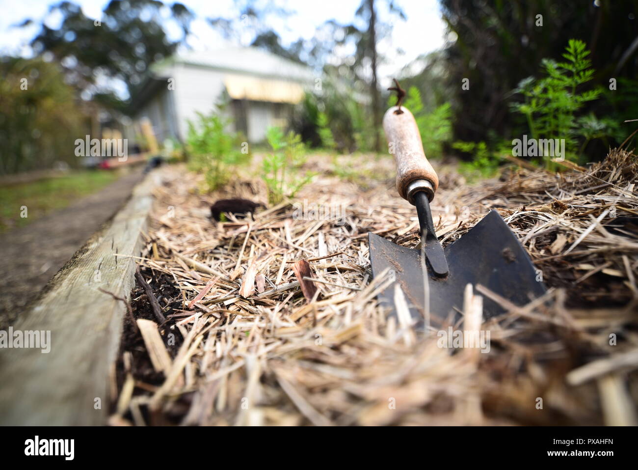Hand shovel hi-res stock photography and images - Alamy