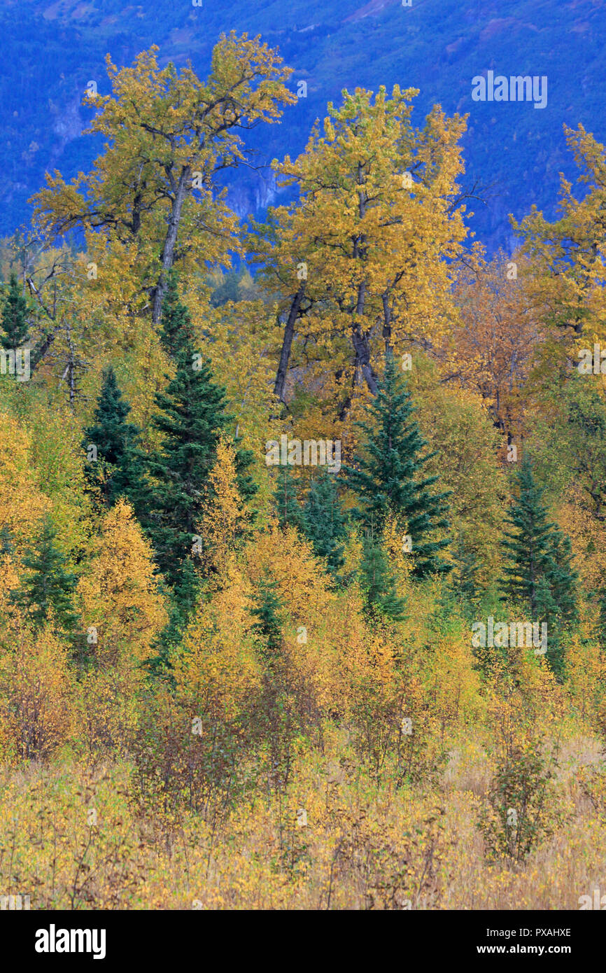 Eagle river alaska hi-res stock photography and images - Alamy