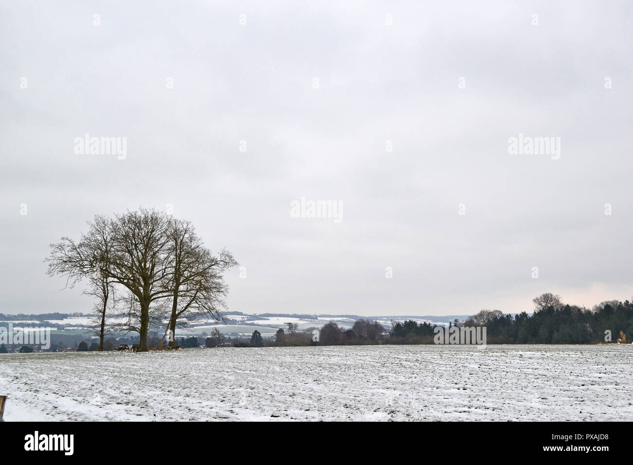 Hosey common road hi-res stock photography and images - Alamy