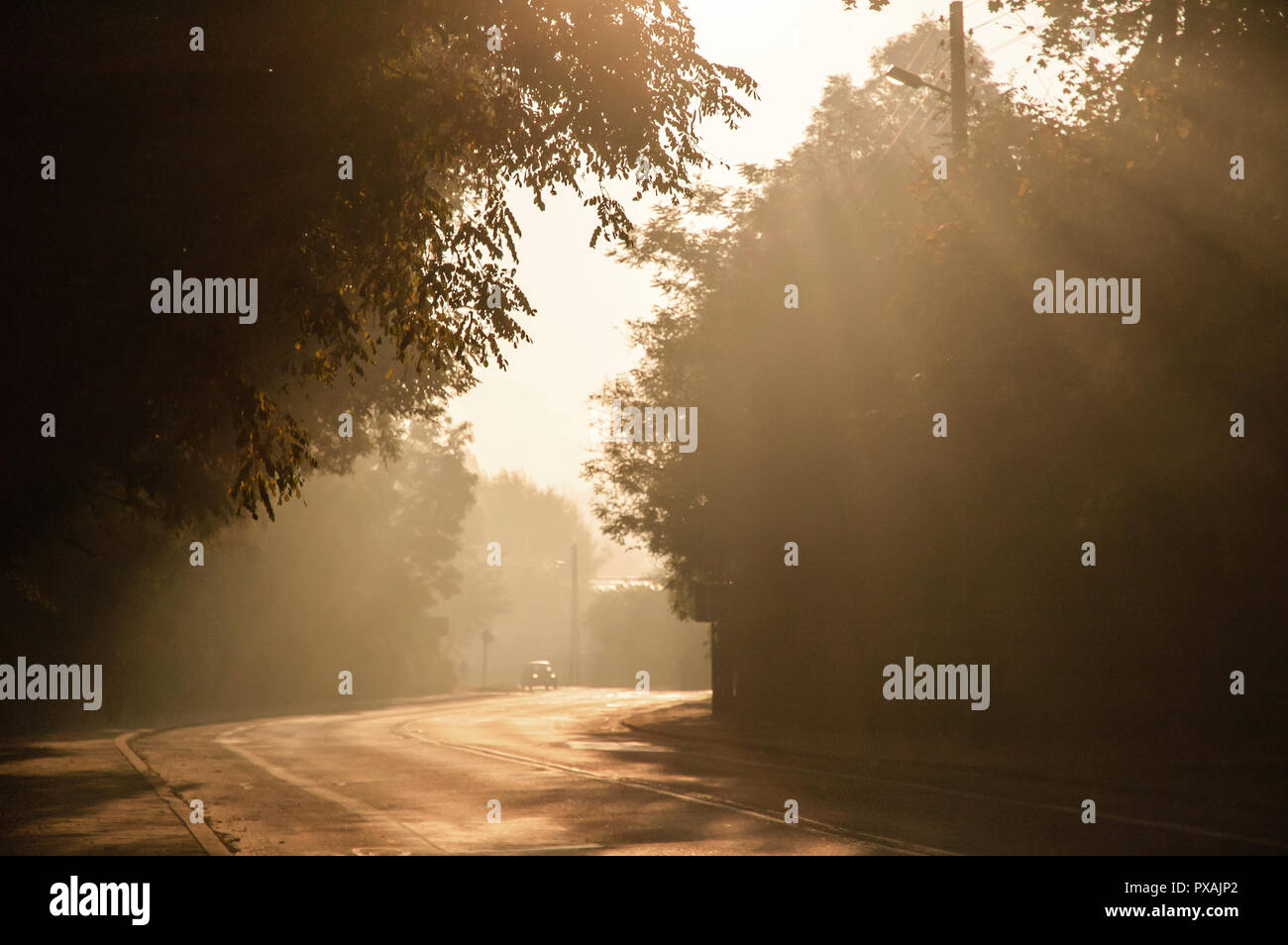 Empty street at dawn hi-res stock photography and images - Alamy
