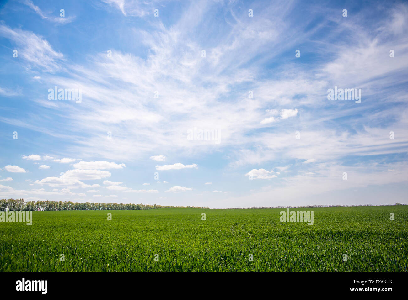 Green color land hi-res stock photography and images - Alamy