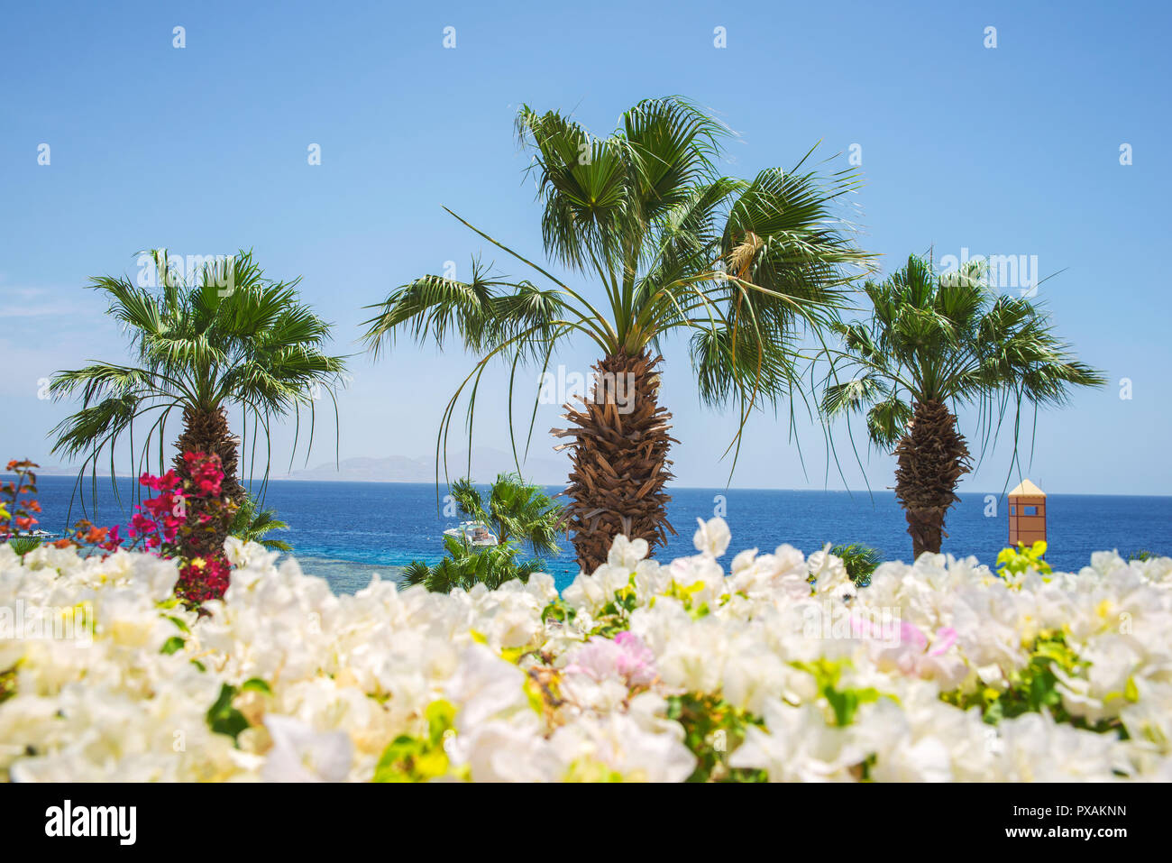 views of the Red Sea Stock Photo - Alamy