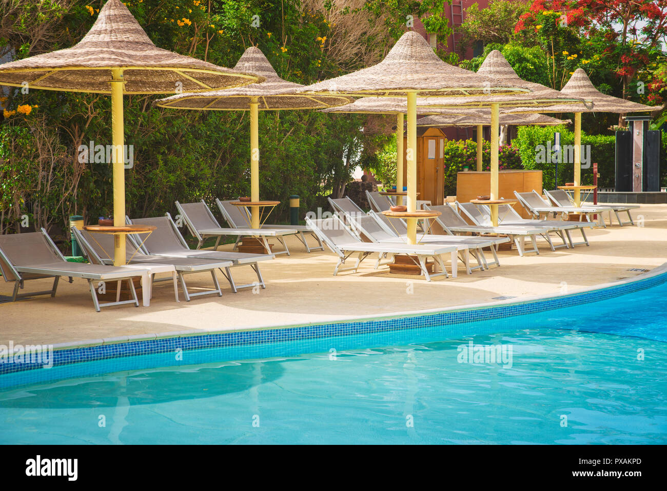 swimming pool with sun loungers Stock Photo - Alamy