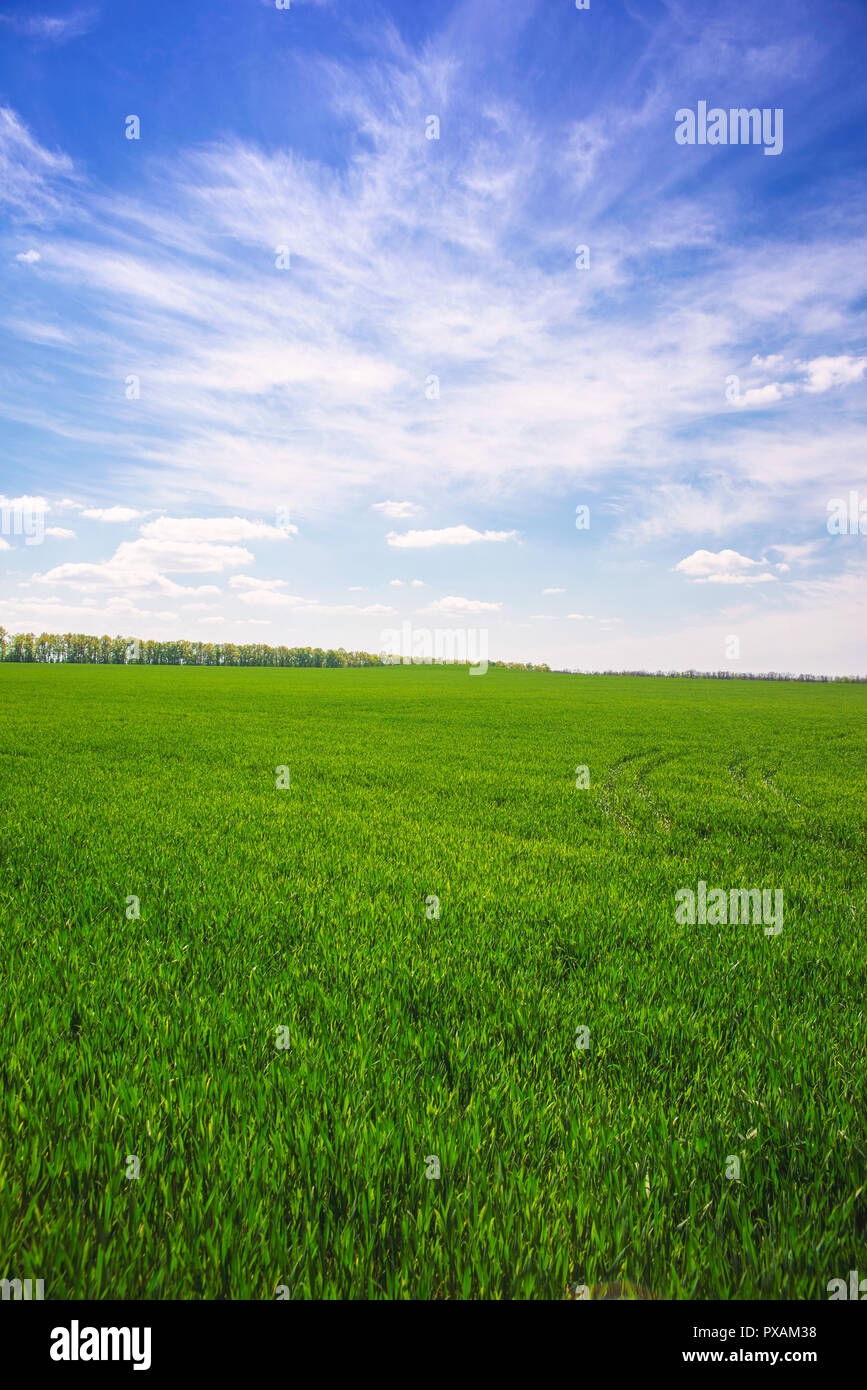 spring landscape field Stock Photo - Alamy