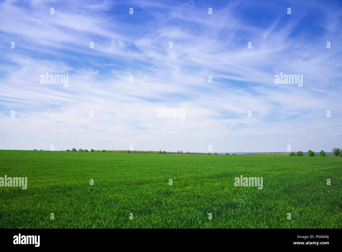 spring landscape field Stock Photo - Alamy