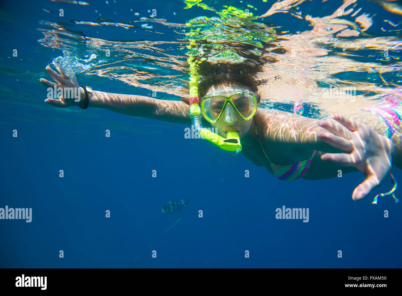 Diving girl underwater hi-res stock photography and images - Alamy