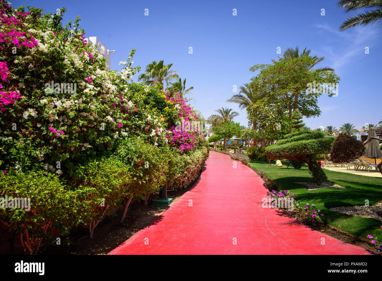 beautiful park with flowers and palm trees Stock Photo - Alamy