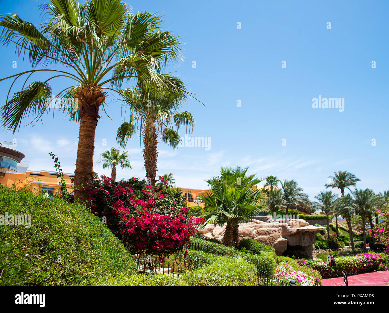 beautiful park with flowers and palm trees Stock Photo - Alamy