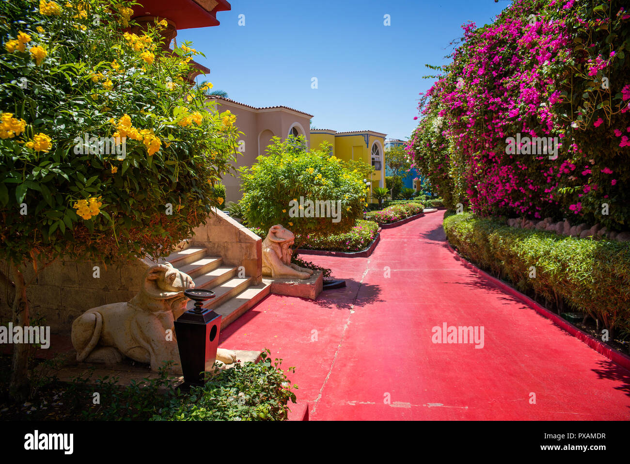 beautiful road with colorful houses Stock Photo - Alamy