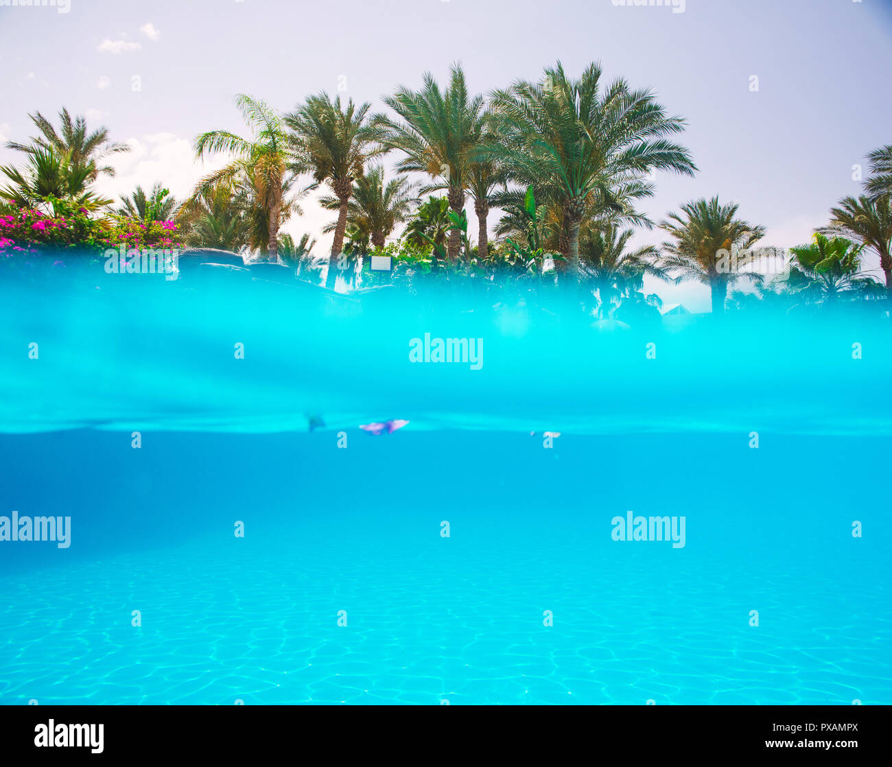 nice view of the swimming Stock Photo - Alamy