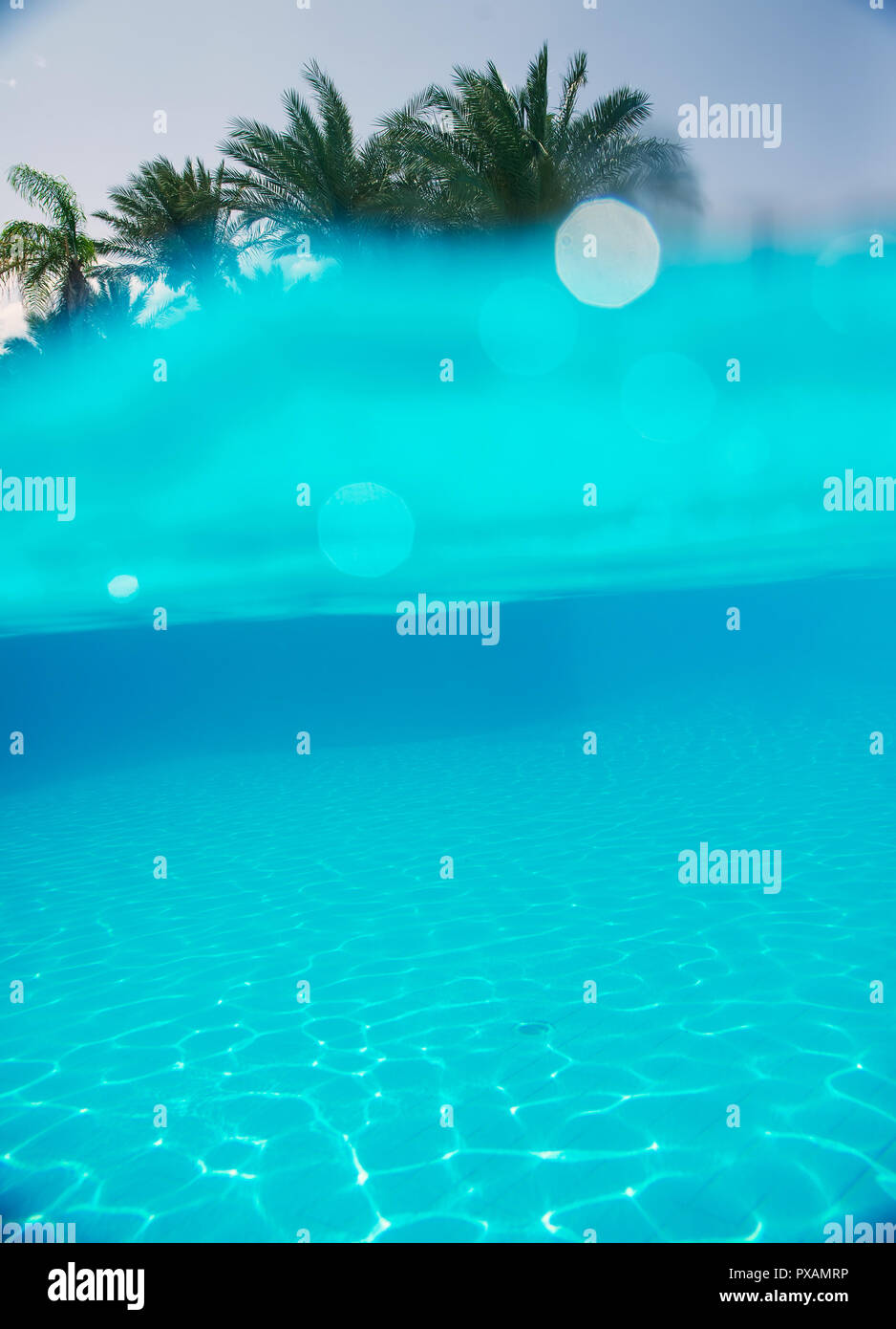 Blue water resort swimming hi-res stock photography and images - Alamy