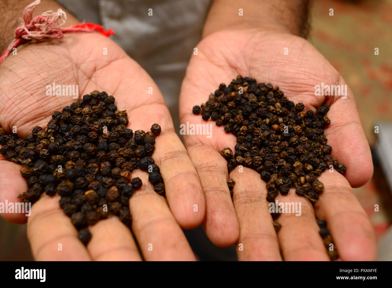 Black pepper india hi-res stock photography and images - Alamy