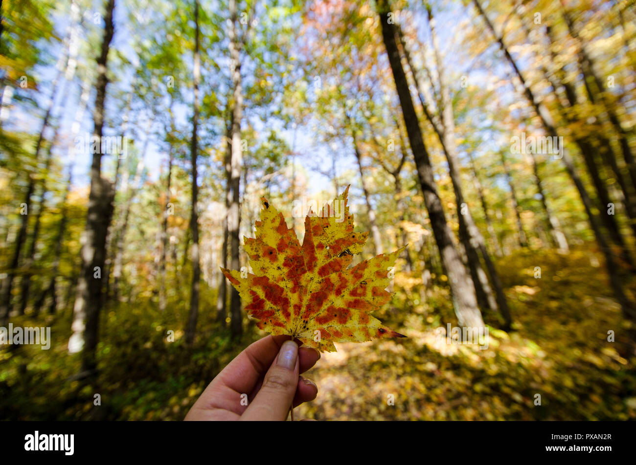 Banning State Park in Minnesota in Sandstone MN, near the Kettle River ...