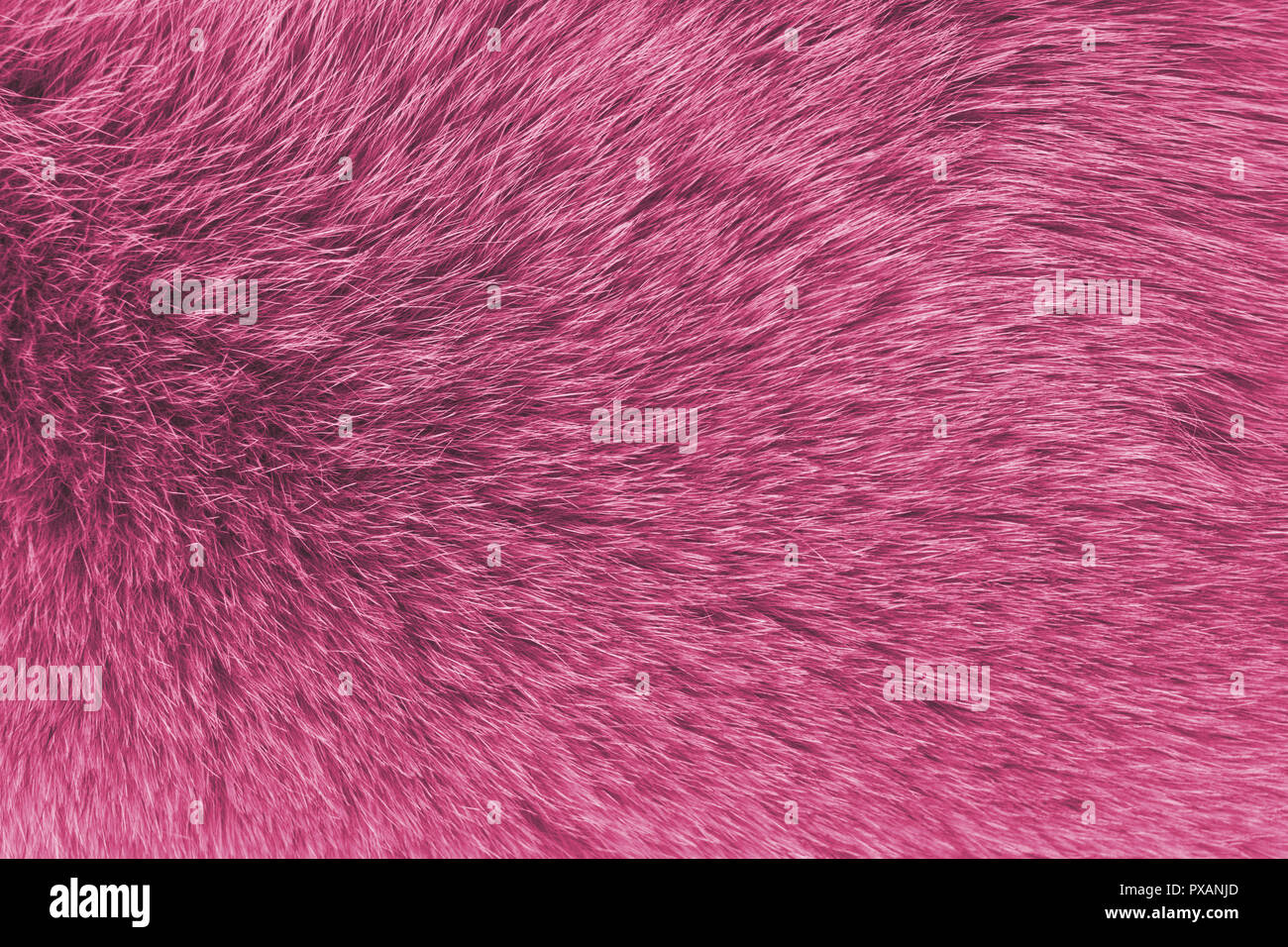 Blue fluffy fur coat texture hi-res stock photography and images - Alamy