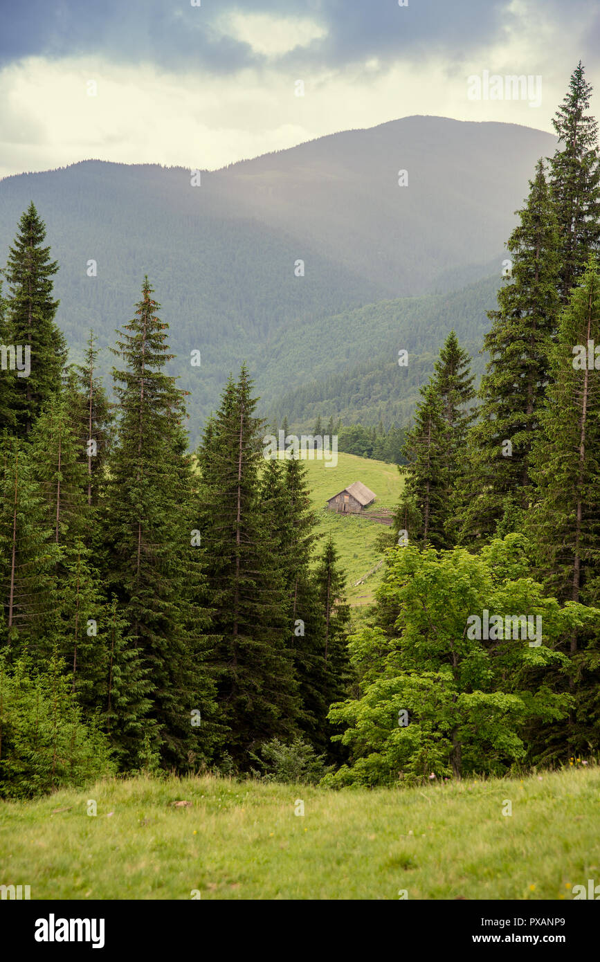 Beautiful forest landscape hi-res stock photography and images - Alamy