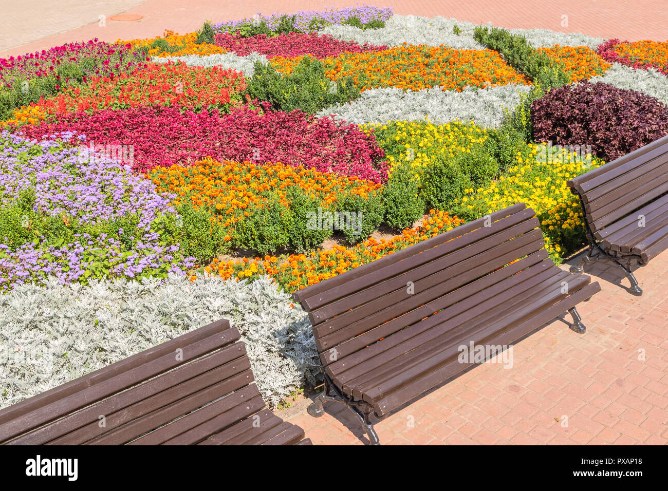 Colorful flower bed hi-res stock photography and images - Alamy