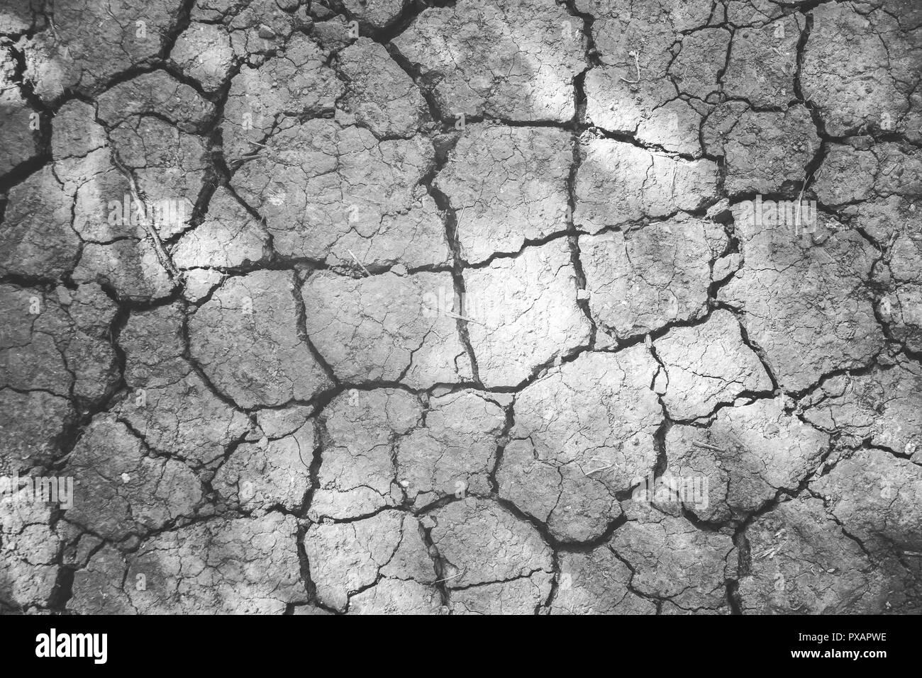 Background of dry ground Stock Photo - Alamy
