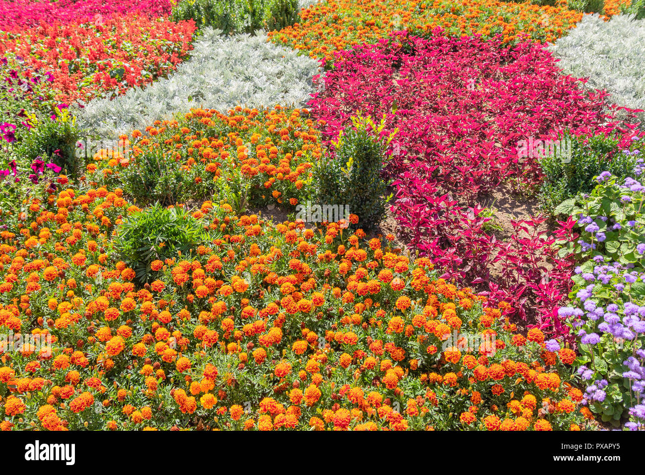City flower bed colorful hi-res stock photography and images - Alamy