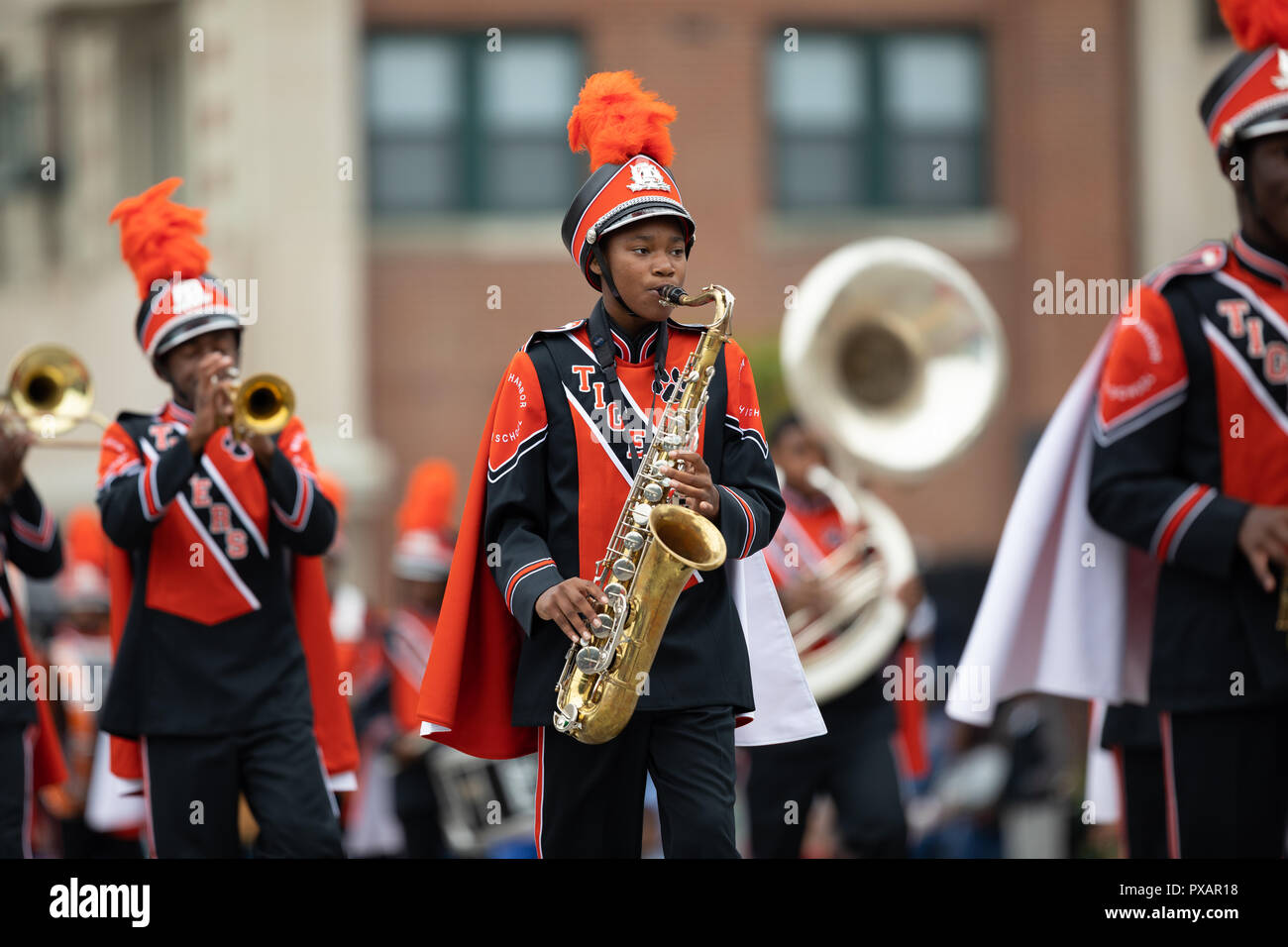 Tiger marching band hi-res stock photography and images - Alamy