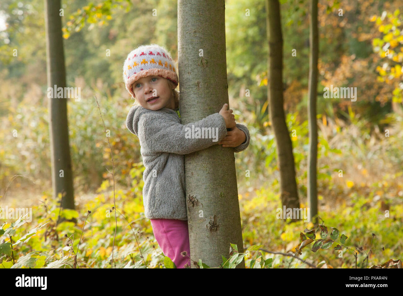 Kids playing with autumn leaves in colorful woodland. Weather: sunny ...