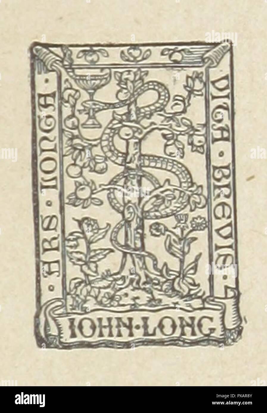 Infelix hi-res stock photography and images - Alamy