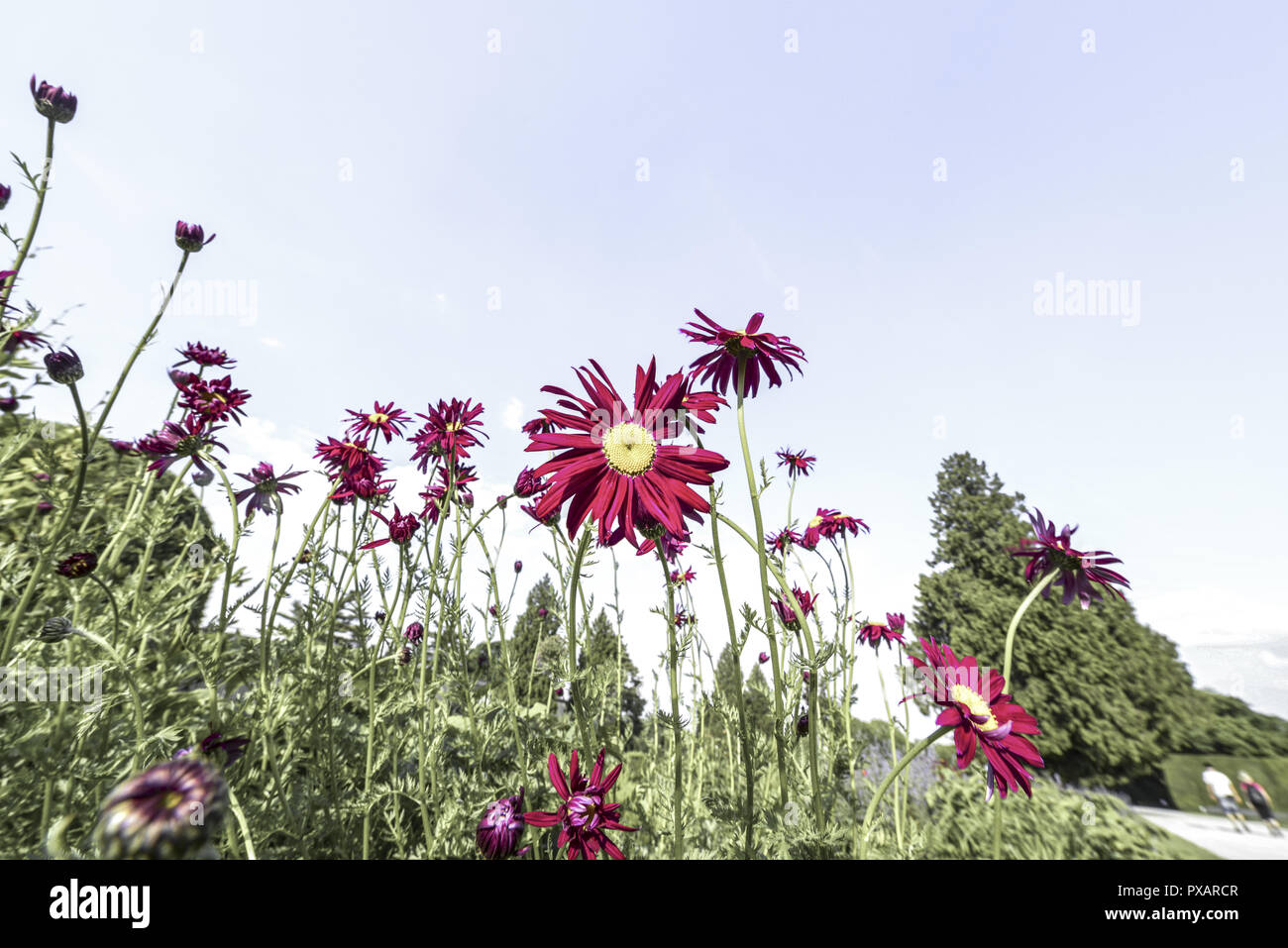 Castle Lednice, World Heritage Site, Czech Republic, Southern Morava ...