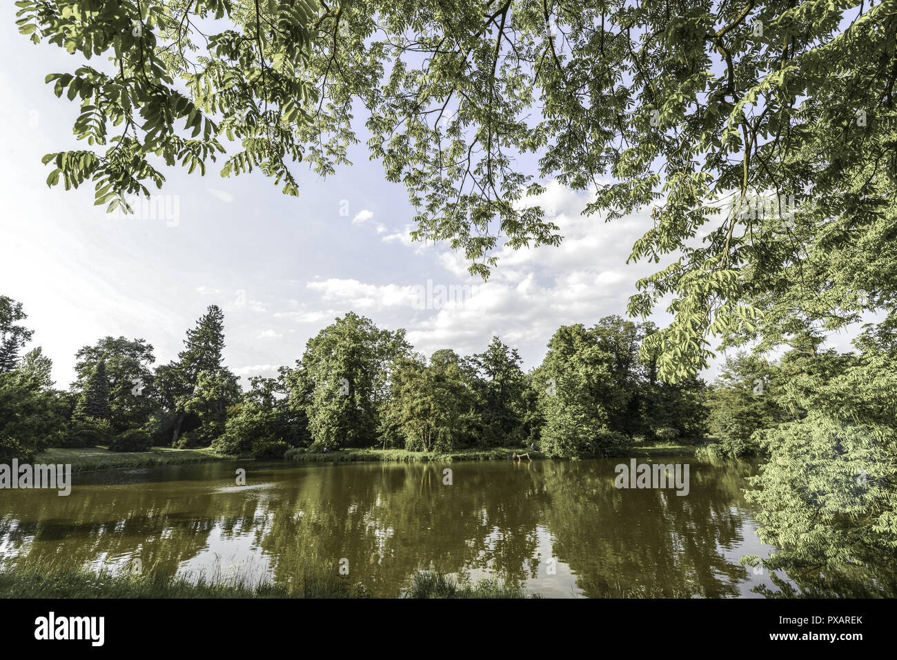 Castle Lednice, World Heritage Site, Czech Republic, Southern Morava ...