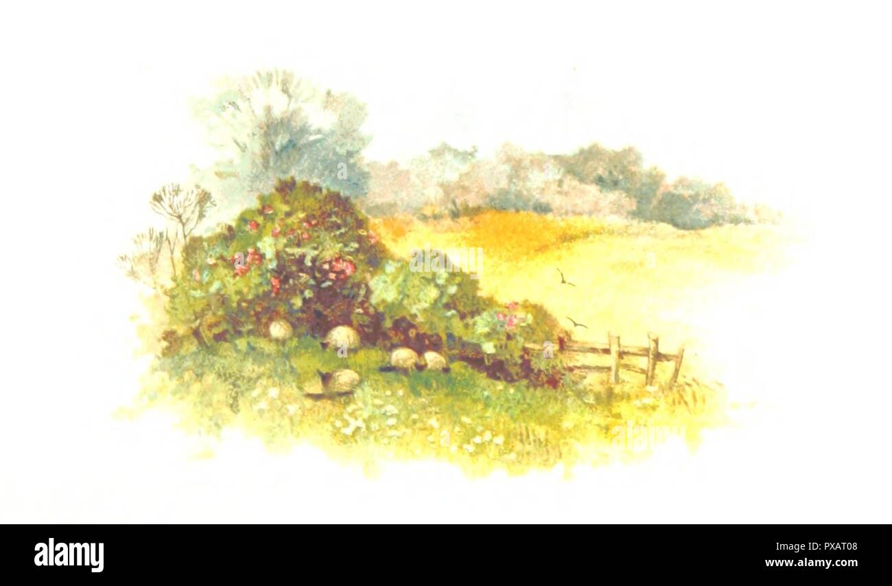 page 9 of 'Rose Leaves. [A collection of poems on roses, with coloured ...