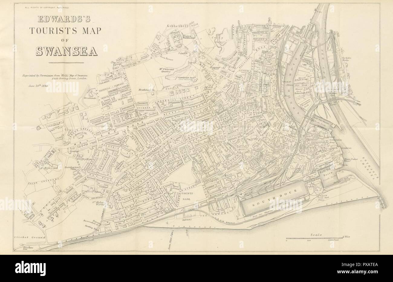 page 13 of 'A Complete and reliable Guide to Swansea and the Mumbles ...