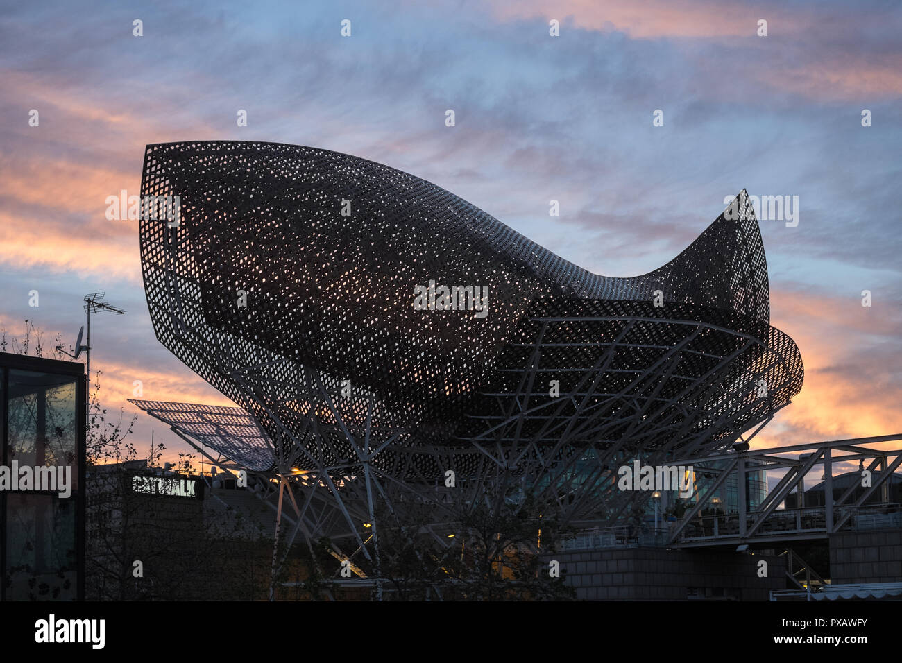 Frank Gehry,The Fish,fish,Peix,sunset,sundown,Barceloneta Beach ...