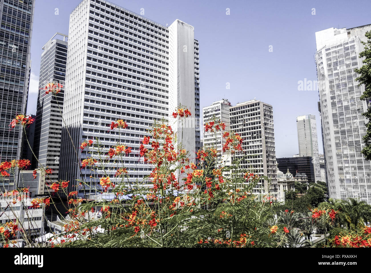 Rio de Janeiro, Centro, Carioca, Brazil Stock Photo - Alamy