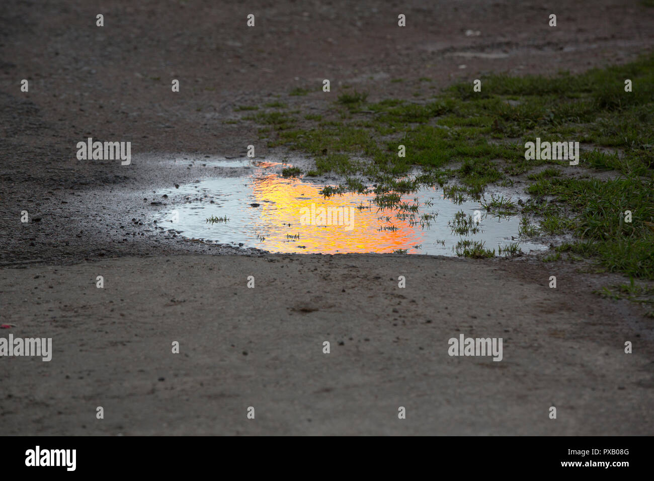 Gas puddle hi-res stock photography and images - Alamy