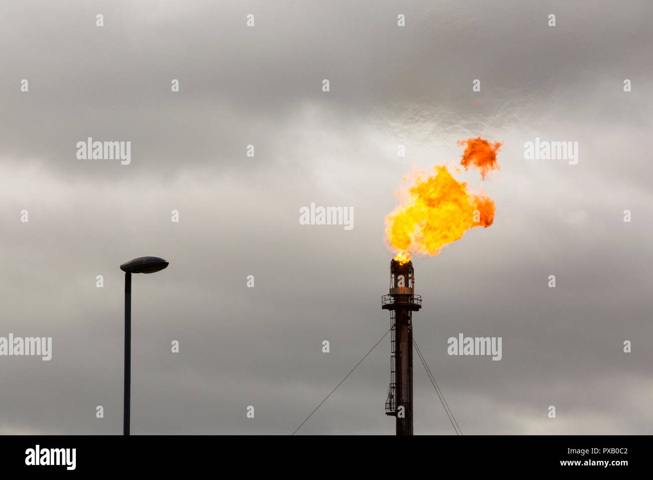 The utter waste of flaring off gas at the Grangemouth oil refinery ...