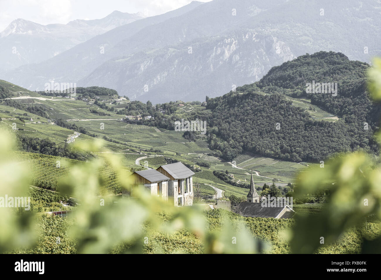 Rhone Valley, vine growing area, Conthey, Bourg, Valais, Switzerland ...