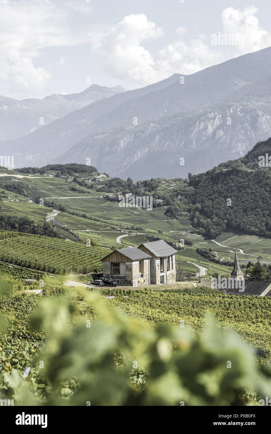 Rhone Valley, vine growing area, Conthey, Bourg, Valais, Switzerland ...