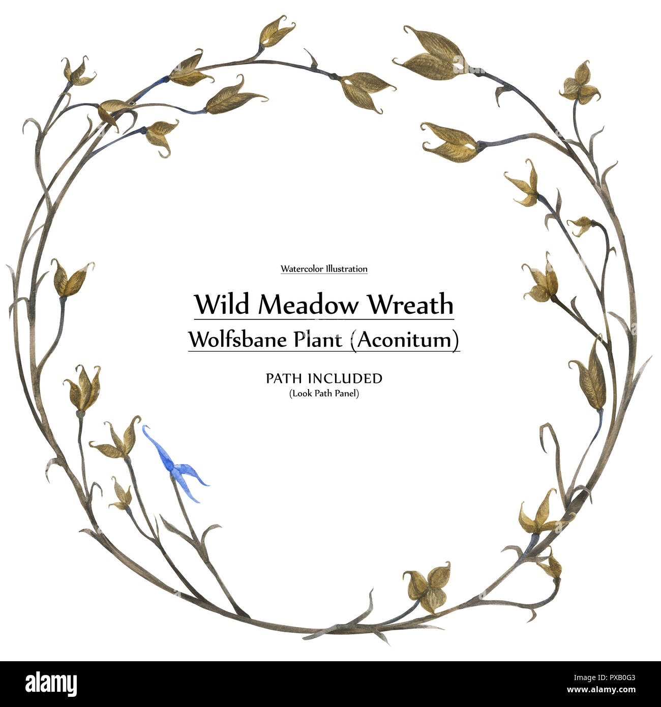 Wolfsbane drawing hi-res stock photography and images - Alamy