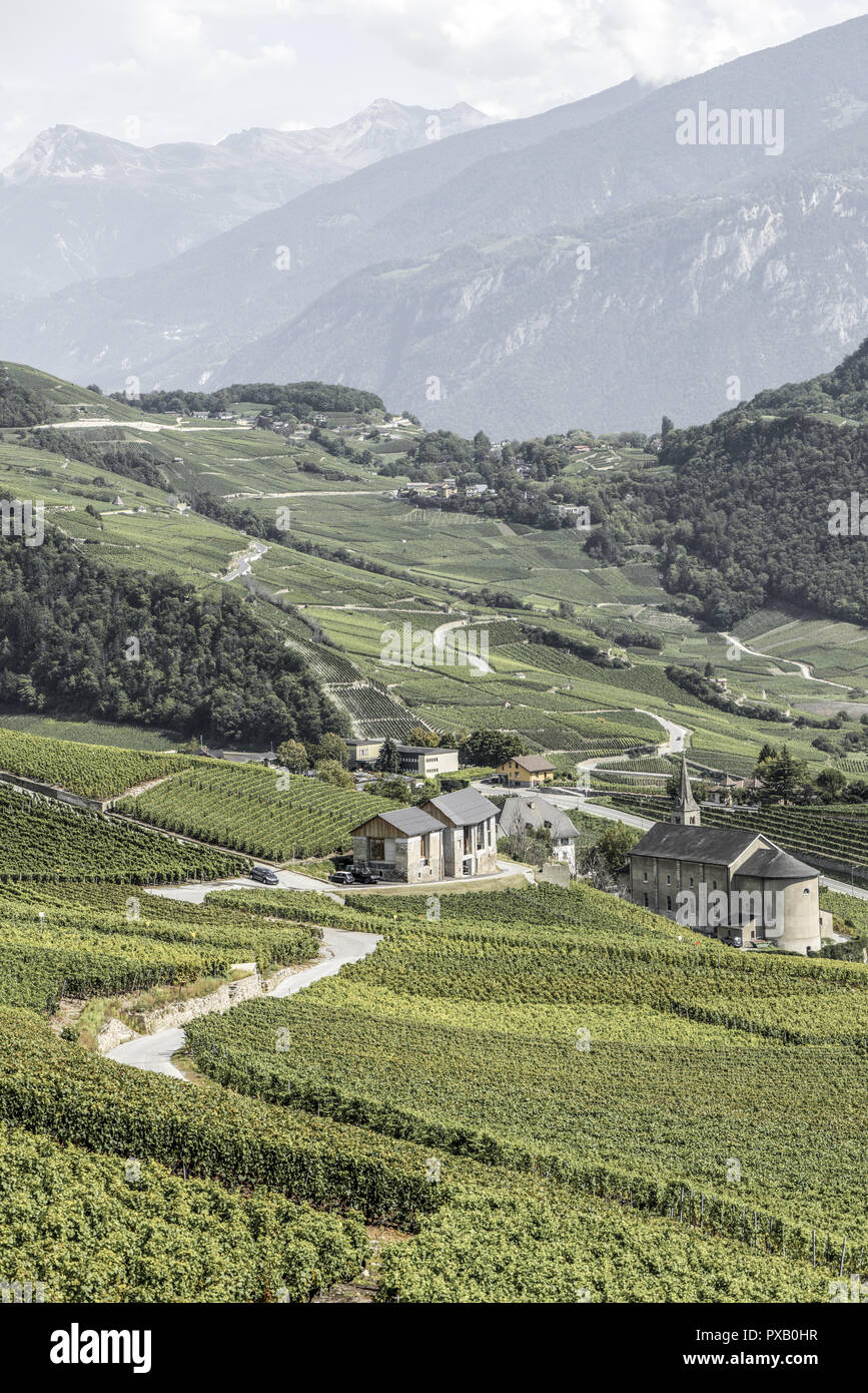Rhone Valley, vine growing area, Conthey, Bourg, Valais, Switzerland ...