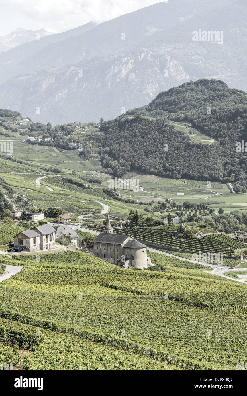 Rhone Valley, vine growing area, Conthey, Bourg, Valais, Switzerland ...