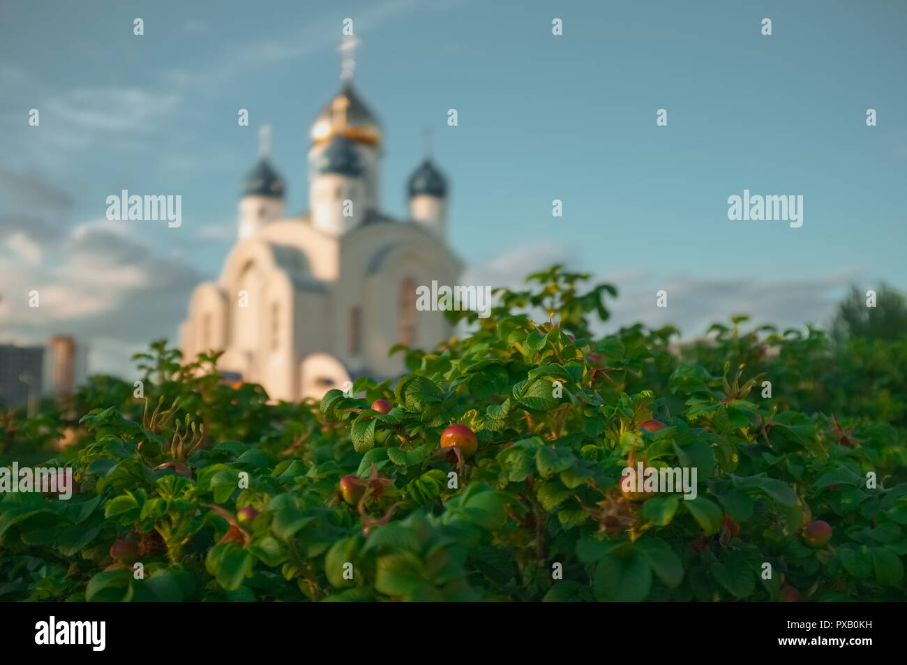Orthodox Church in sunset lights, view of Parish of the Church of the ...