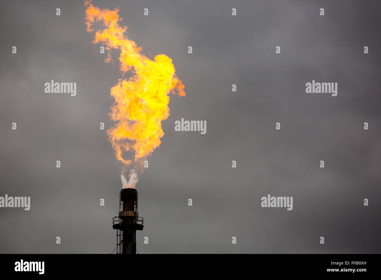 Burning off waste gas hi-res stock photography and images - Alamy