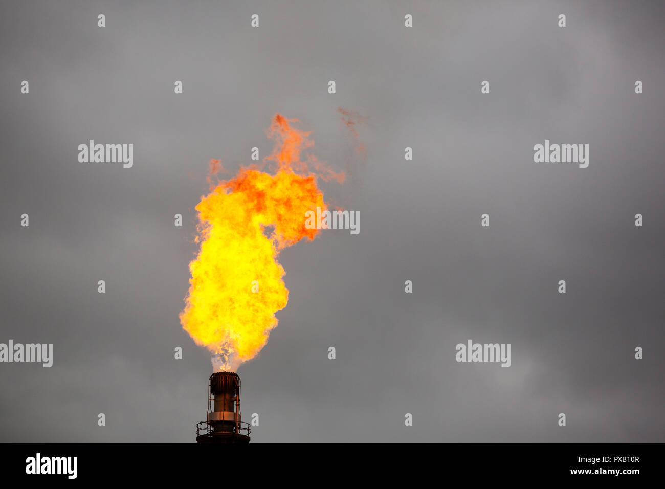 The utter waste of flaring off gas at the Grangemouth oil refinery ...