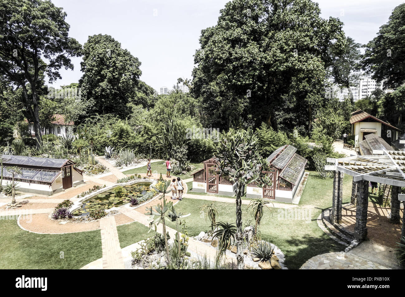 Rio de Janeiro, botanical garden, Jardim Botanico, Brazil Stock Photo ...