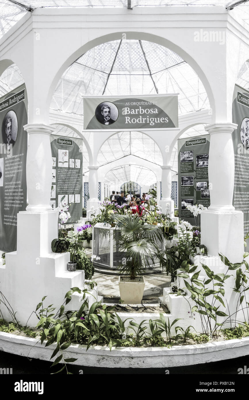 Rio de Janeiro, botanical garden, Jardim Botanico, Orchideario, Orchid ...