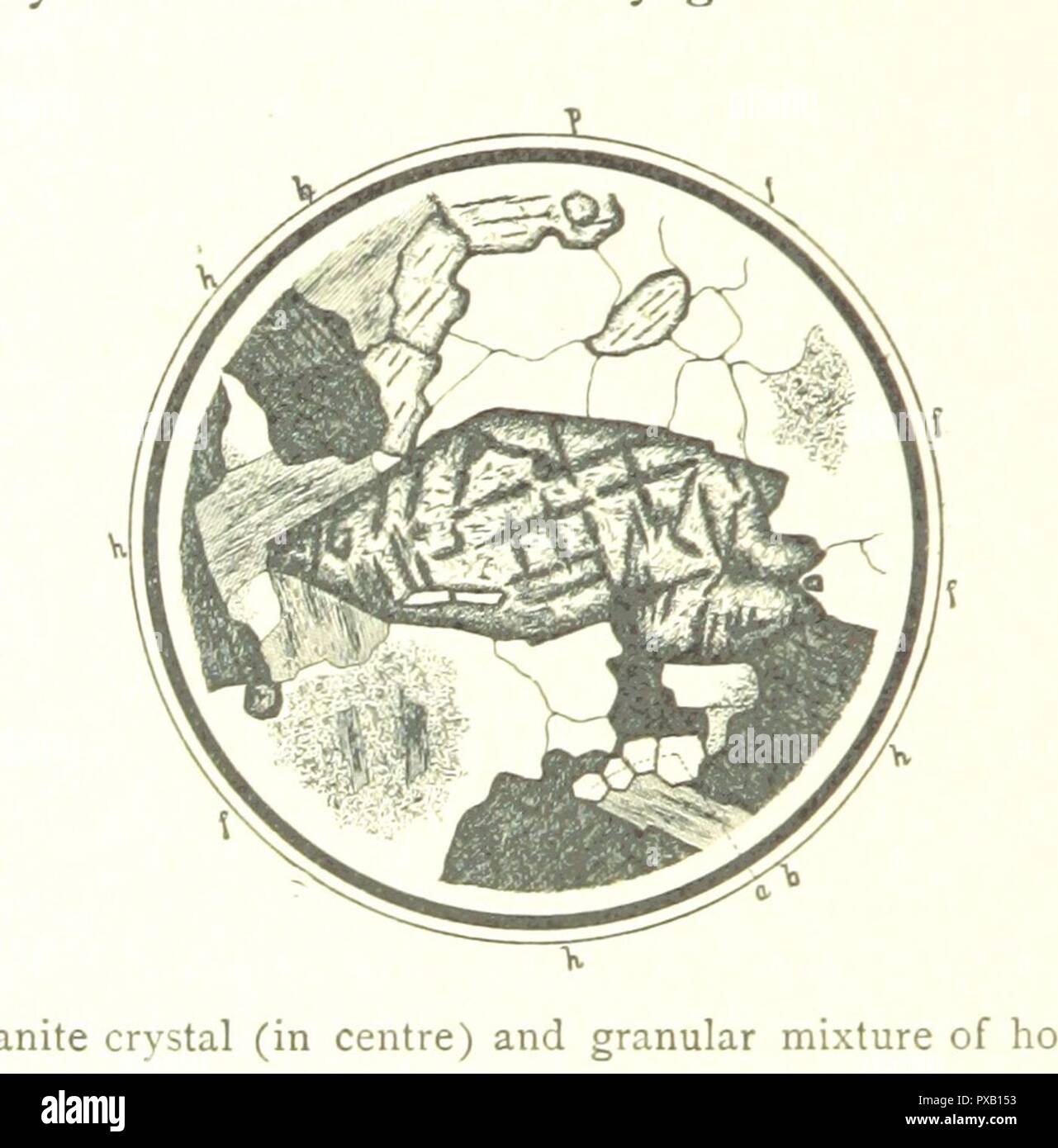 page 88 of 'Minerals in Rock Sections. The practical methods of ...