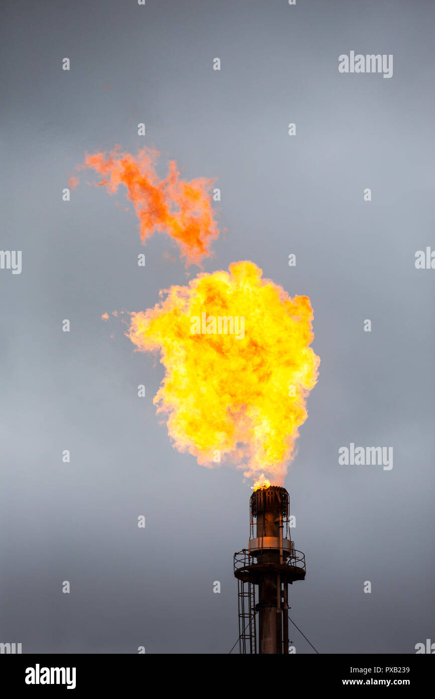 The utter waste of flaring off gas at the Grangemouth oil refinery ...